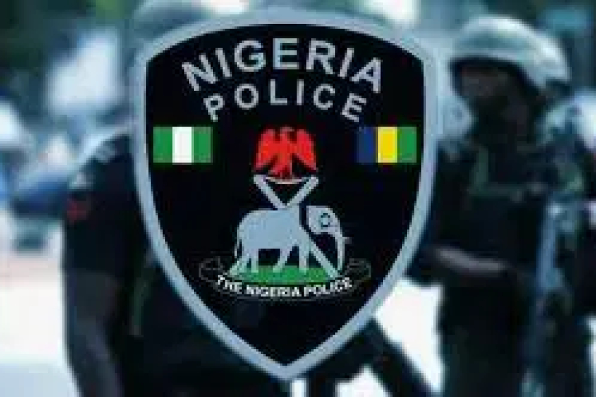 Police dismiss Inspector over unethical conduct in Abia - The Issues ...