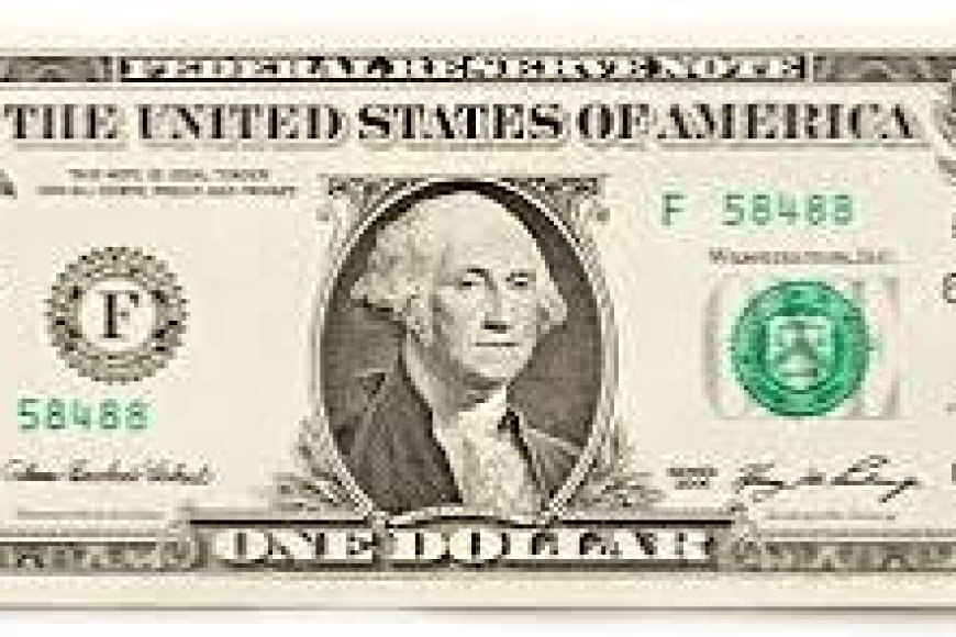 Naira rises to N1,618/$ in parallel market - The Issues Magazine