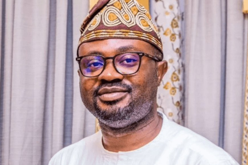A breakthrough: Tunji-Ojo gifts Nigeria e-Visa and digital security ...