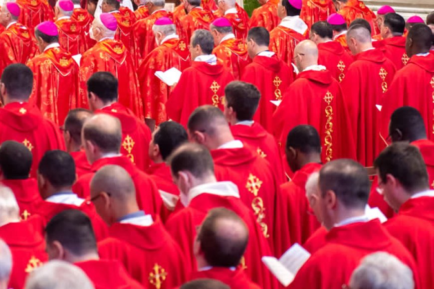 Cardinals gather to set date for Pope Francis successor’s election ...