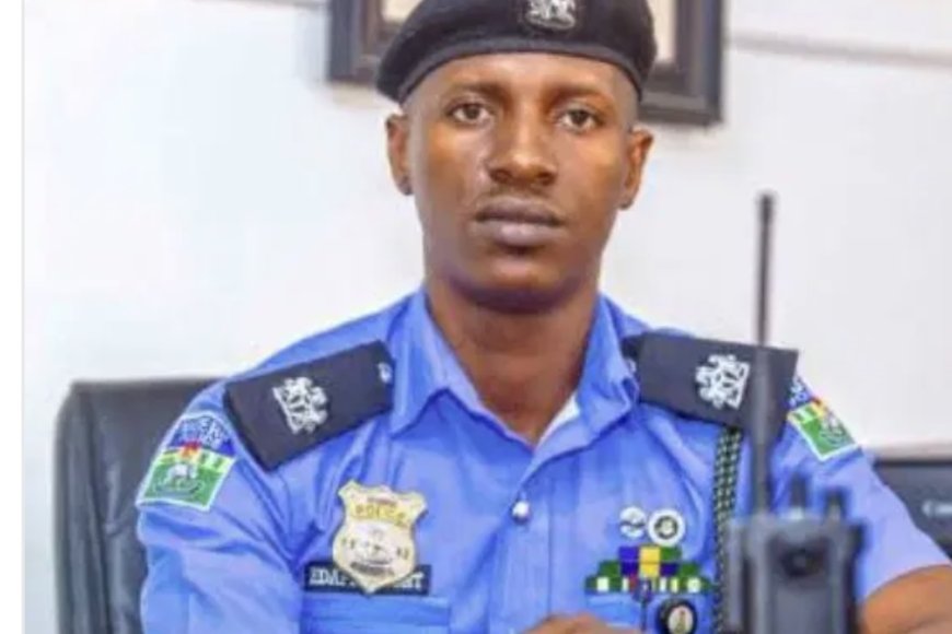 Creepy Murder in Delta Hotels: Another corpse found - The Issues Magazine