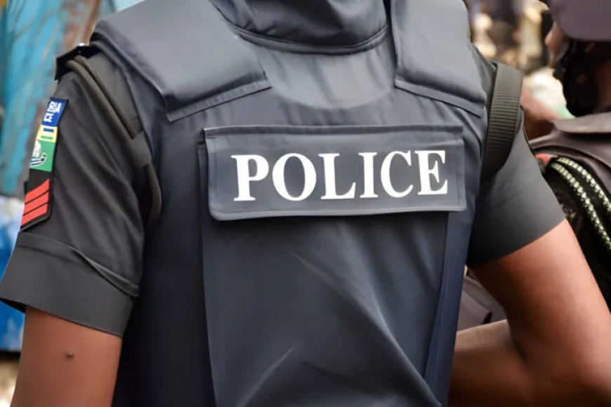 Police rescue 75-year-old kidnapped victim in Kano - The Issues Magazine