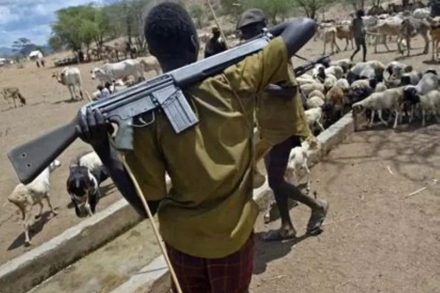 Herdsmen invade Imo community again, 9 days after woman was shot - The ...