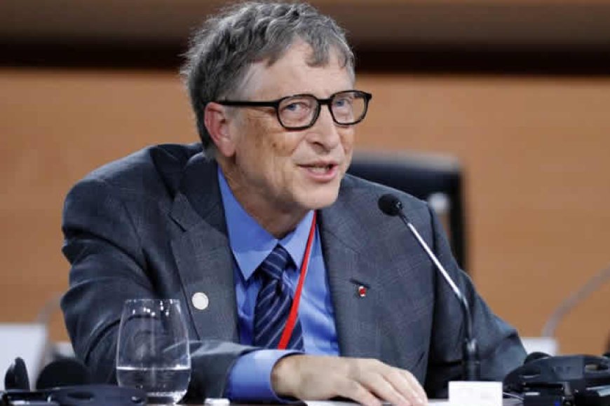 Nigeria’s health budget too low to tackle crises – Gates - The Issues ...