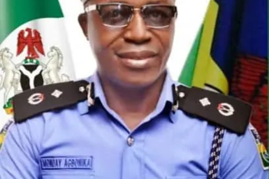 Police arrest suspected cultist linked to Edo vigilante killings - The ...