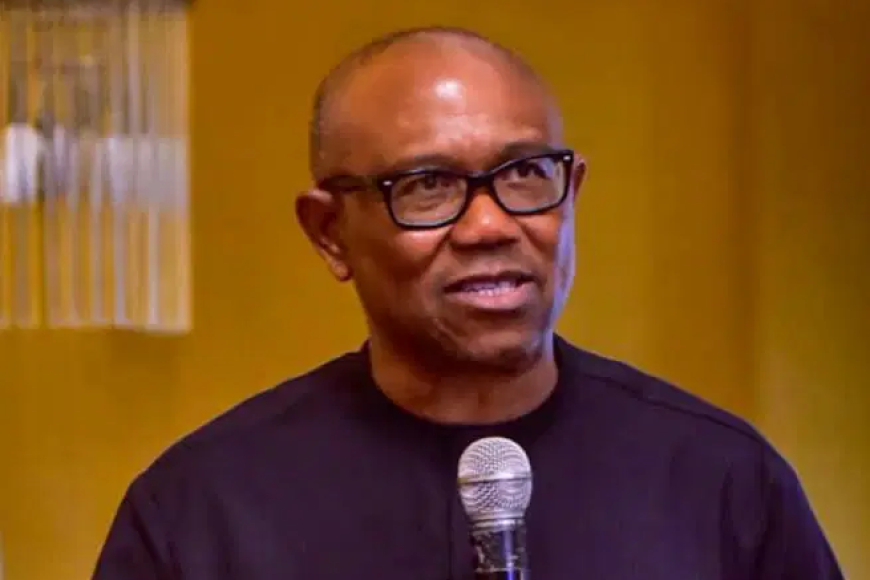Hunger, poverty in Nigeria beyond statistics – Obi - The Issues Magazine