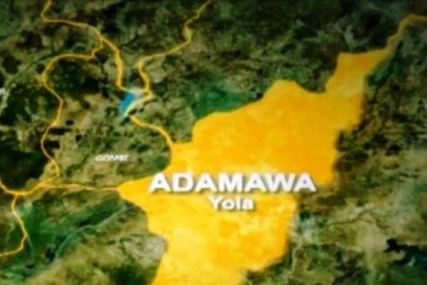 Police arrest three kidnappers after Adamawa schools closure - The ...