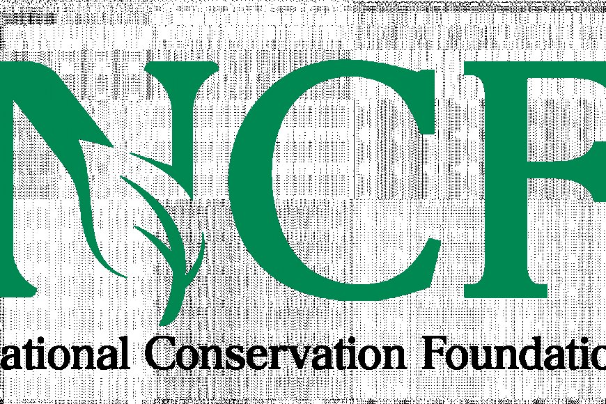 NCF, partners unveil initiative to combat deforestation - The Issues ...