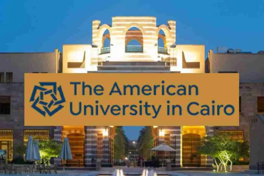 2026 American University in Cairo – AUC African Graduate Fellowships ...