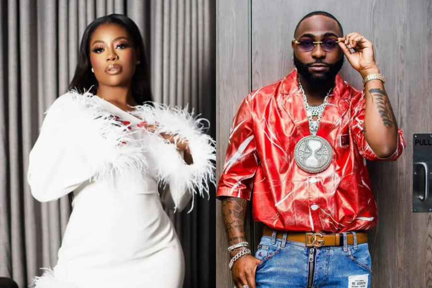 I’m not Davido’s wife,’ Sophia Momodu tells fans - The Issues Magazine