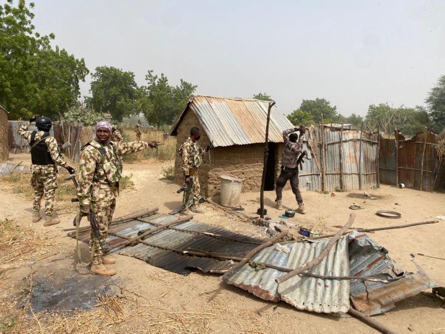 11 terrorists surrender as troops kill eight in Borno - The Issues Magazine