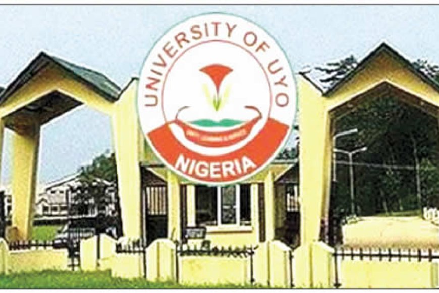 Family laments UNIUYO student’s whereabouts since December - The Issues ...